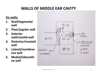 Middle ear cavity(with handmade illustrations) | PPTX