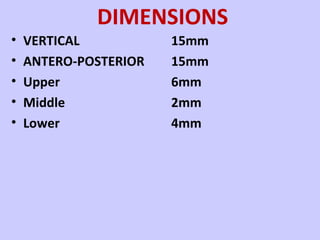 Middle Ear Cavity | PPT