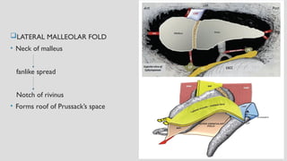 Anatomy and Overview of Middle Ear Mucosal Folds | PPTX