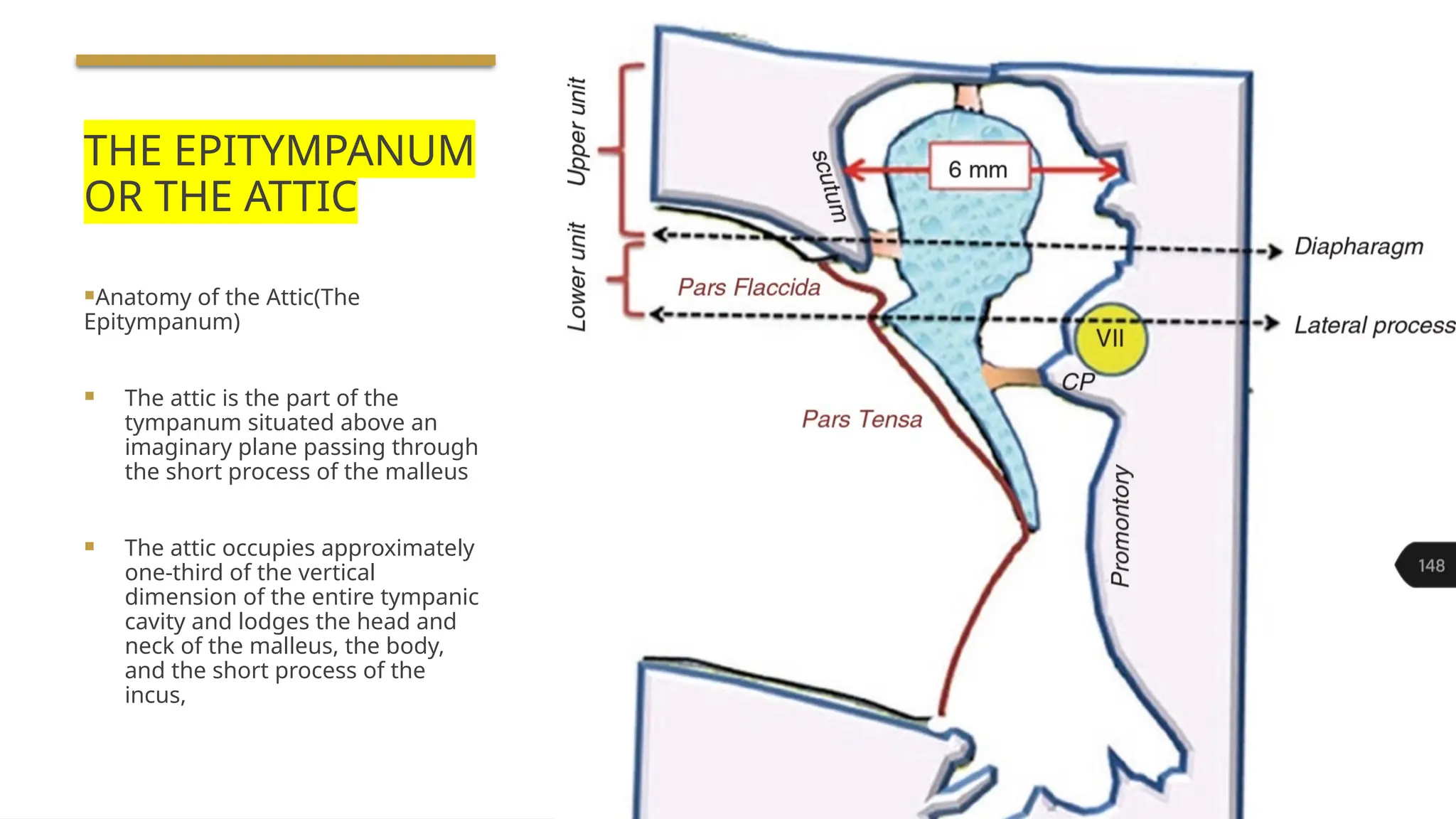 middle ear spaces and mucosal folds Otorhinolaryngology | PPTX