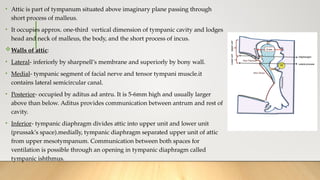 Middle Ear Spaces Anatomy and Clinical Aspect.pptx