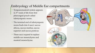 Middle Ear Spaces Anatomy and Clinical Aspect.pptx