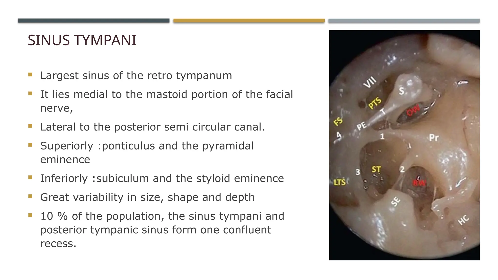 middle ear spaces and mucosal folds.pptx