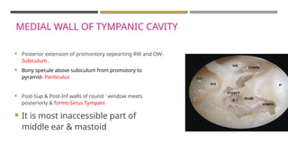 middle ear spaces and mucosal folds.pptx