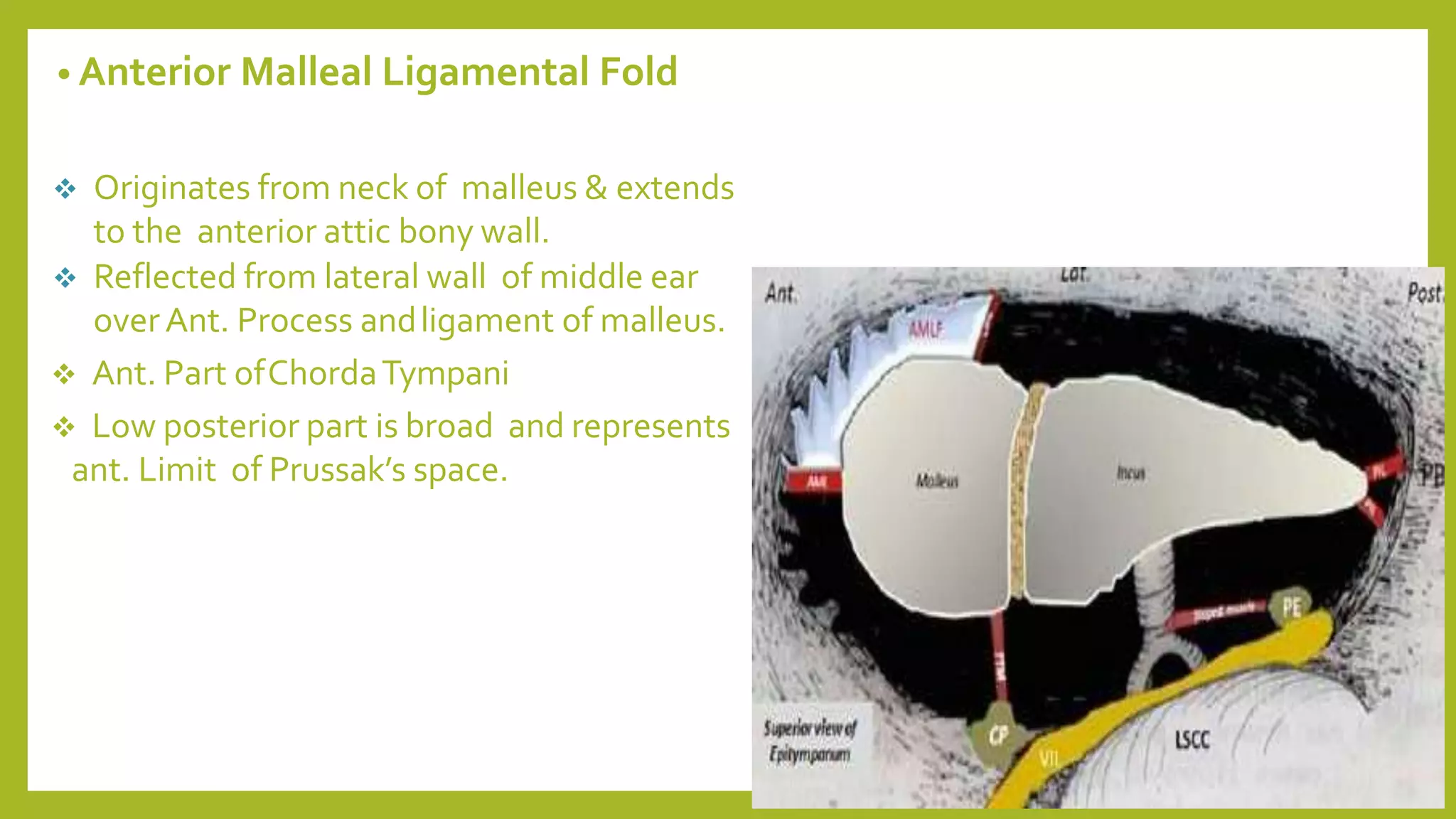 Middle ear ventilatory pathway and Mucosal folds.pptx
