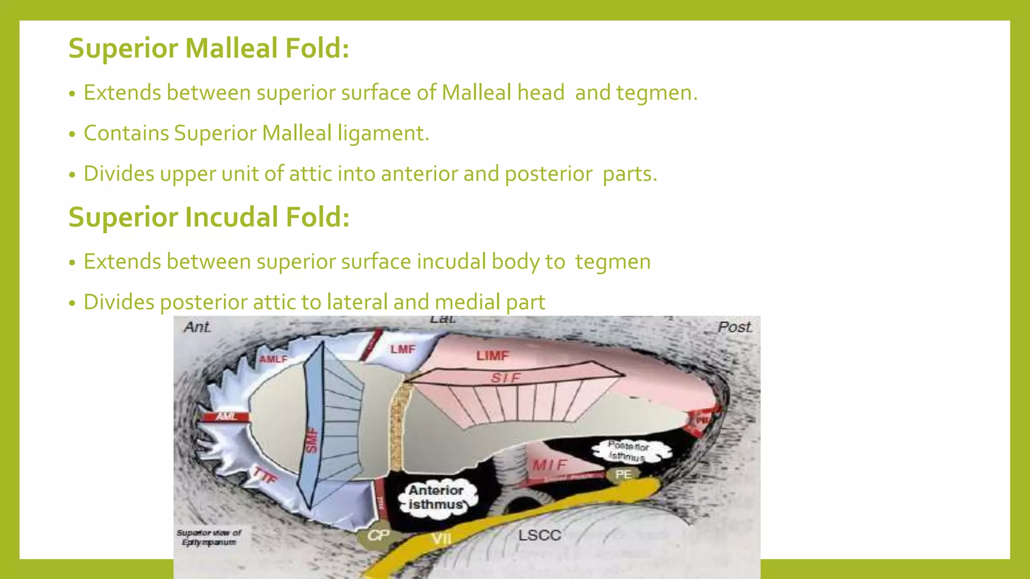 Middle ear ventilatory pathway and Mucosal folds.pptx