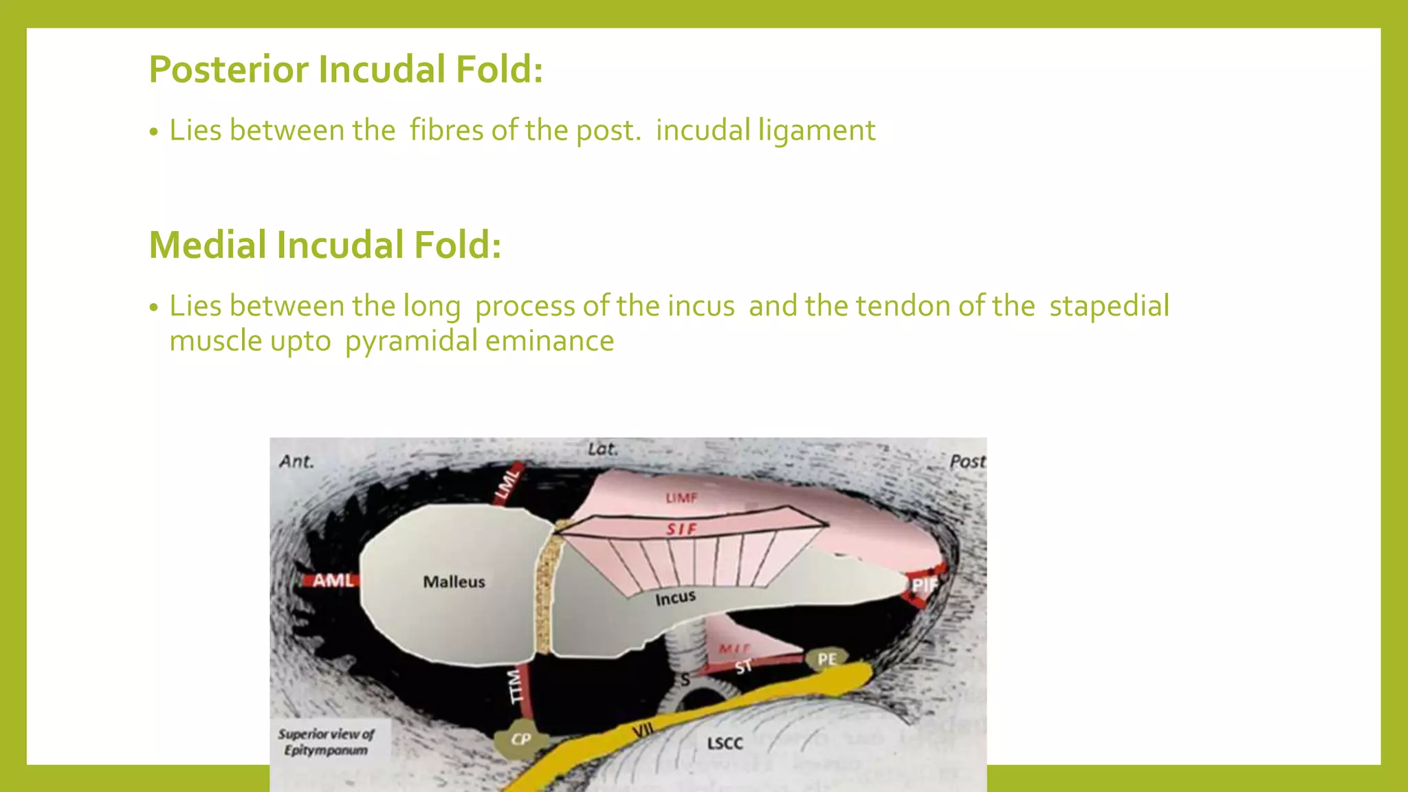 Middle ear ventilatory pathway and Mucosal folds.pptx