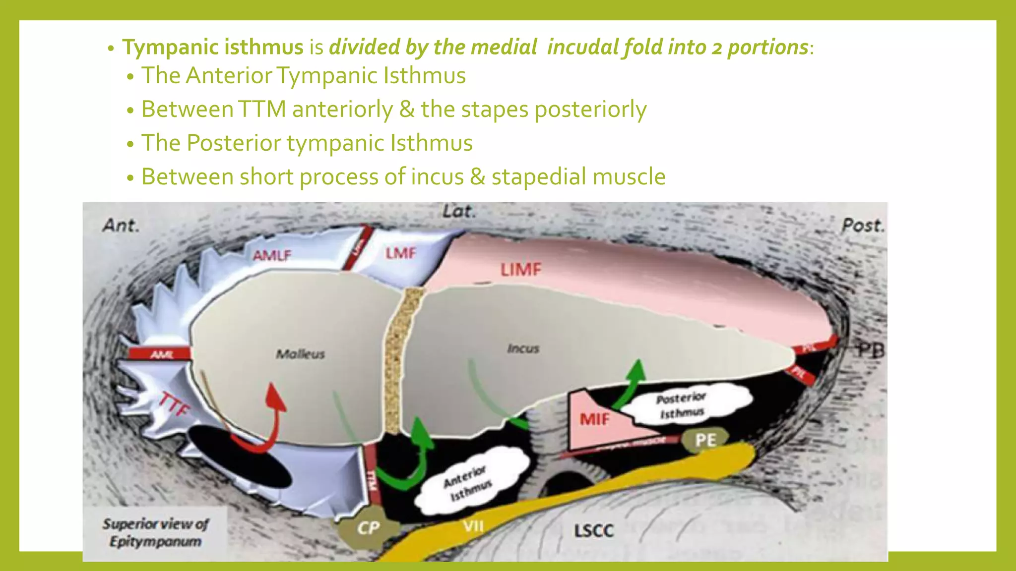 Middle ear ventilatory pathway and Mucosal folds.pptx