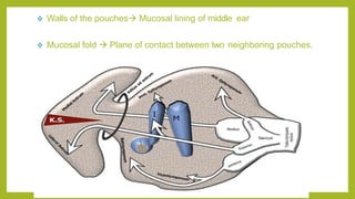 Middle ear ventilatory pathway and Mucosal folds.pptx