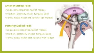 Middle ear ventilatory pathway and Mucosal folds.pptx