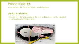 Middle ear ventilatory pathway and Mucosal folds.pptx