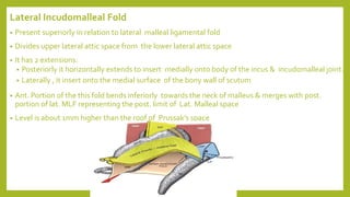 Middle ear ventilatory pathway and Mucosal folds.pptx
