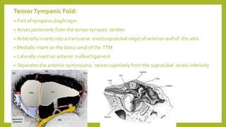 Middle ear ventilatory pathway and Mucosal folds.pptx