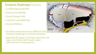 Middle ear ventilatory pathway and Mucosal folds.pptx
