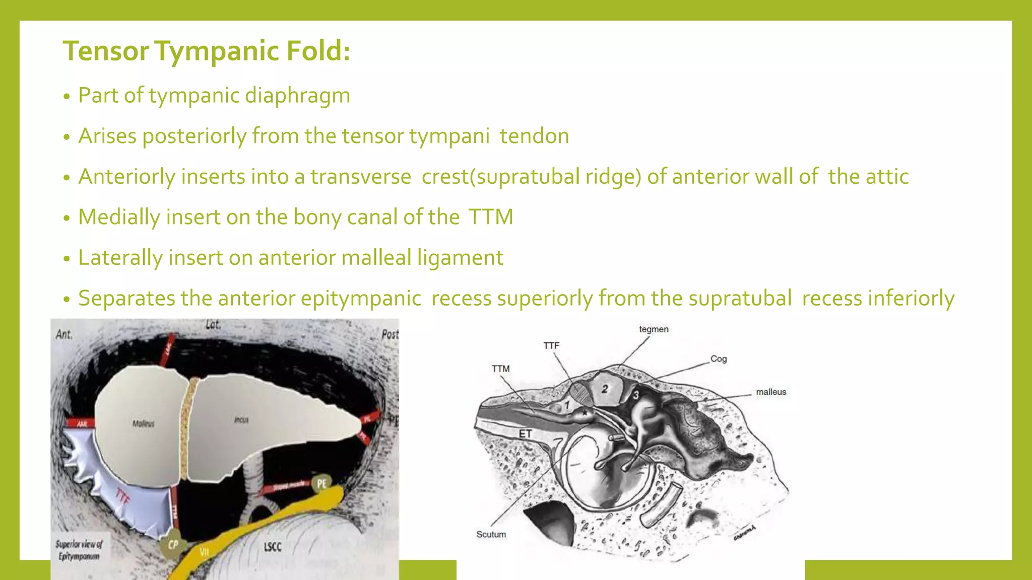 Middle ear ventilatory pathway and Mucosal folds.pptx