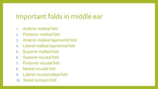 Middle ear ventilatory pathway and Mucosal folds.pptx