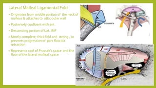 Middle ear ventilatory pathway and Mucosal folds.pptx