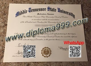 Middle Tennessee State University diploma | PDF