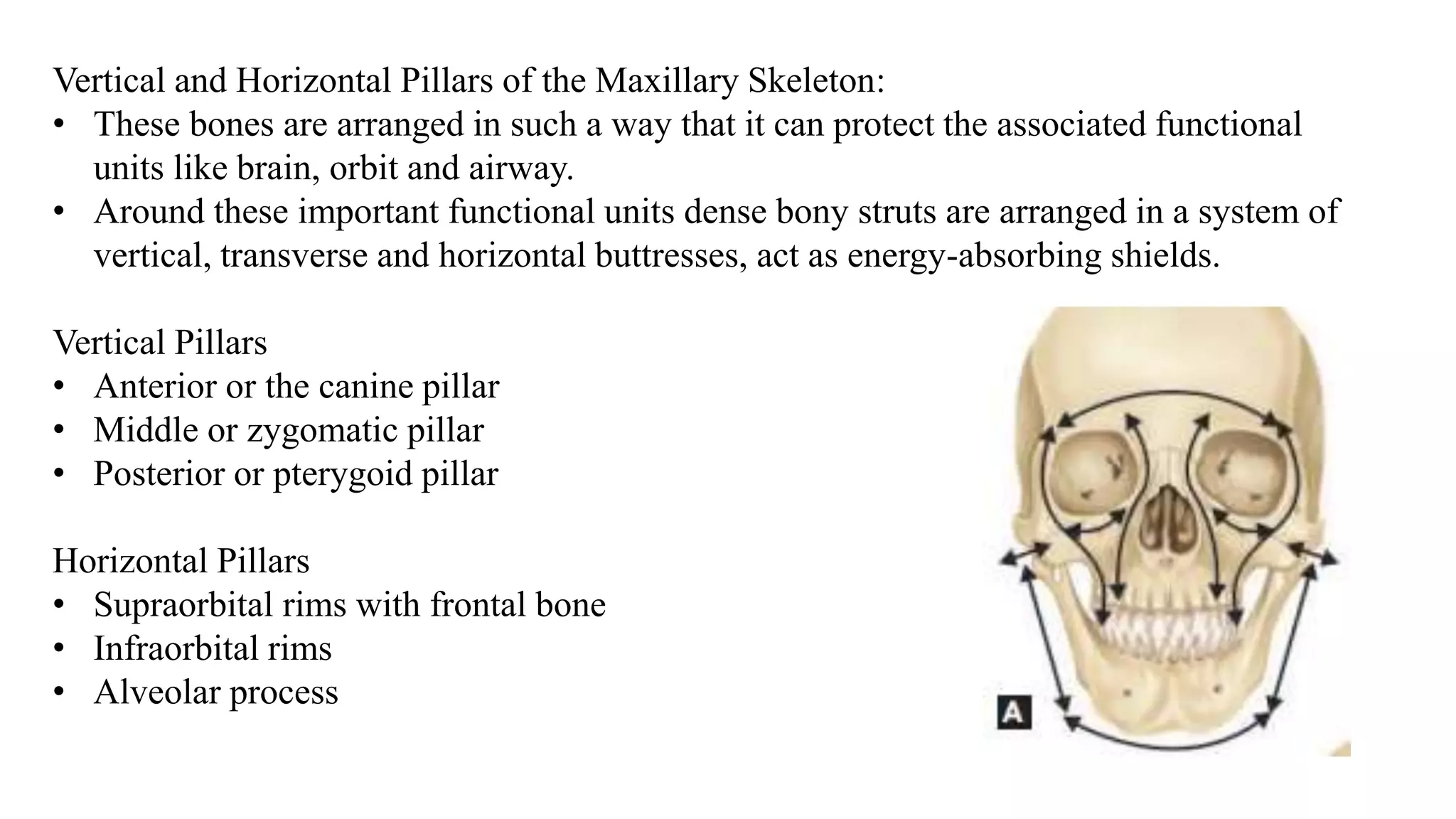 Midface fracture.pptx