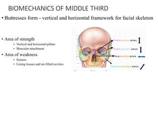 MID FACE FRACTURES.pptx