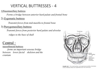MID FACE FRACTURES.pptx