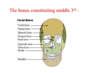 MID FACE FRACTURES.pptx