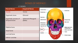 Midface fractures | PPTX