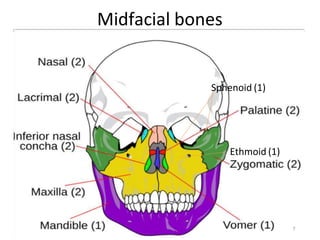Midfacial fractures | PPTX