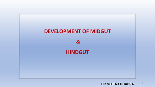 Development of Midgut & Hindgut | PPTX | Digestive Disorders | Diseases ...