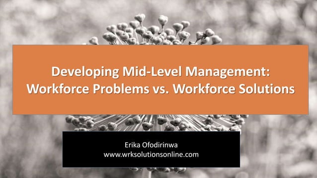 Developing Mid-Level Managers: Workforce Problems vs Workforce ...