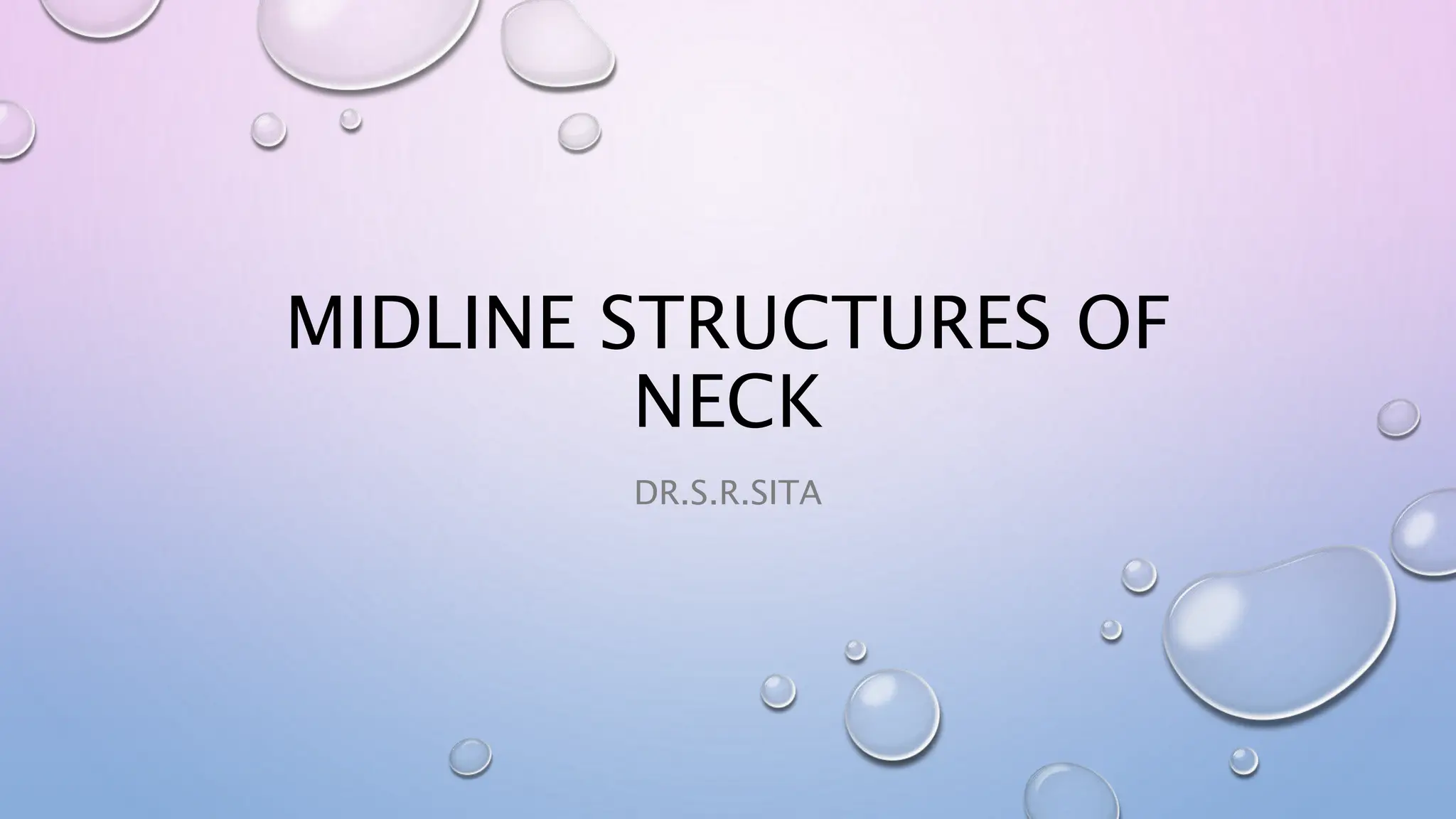 MIDLINE STRUCTURES OF NECK anatomy PowerPoint | PPTX