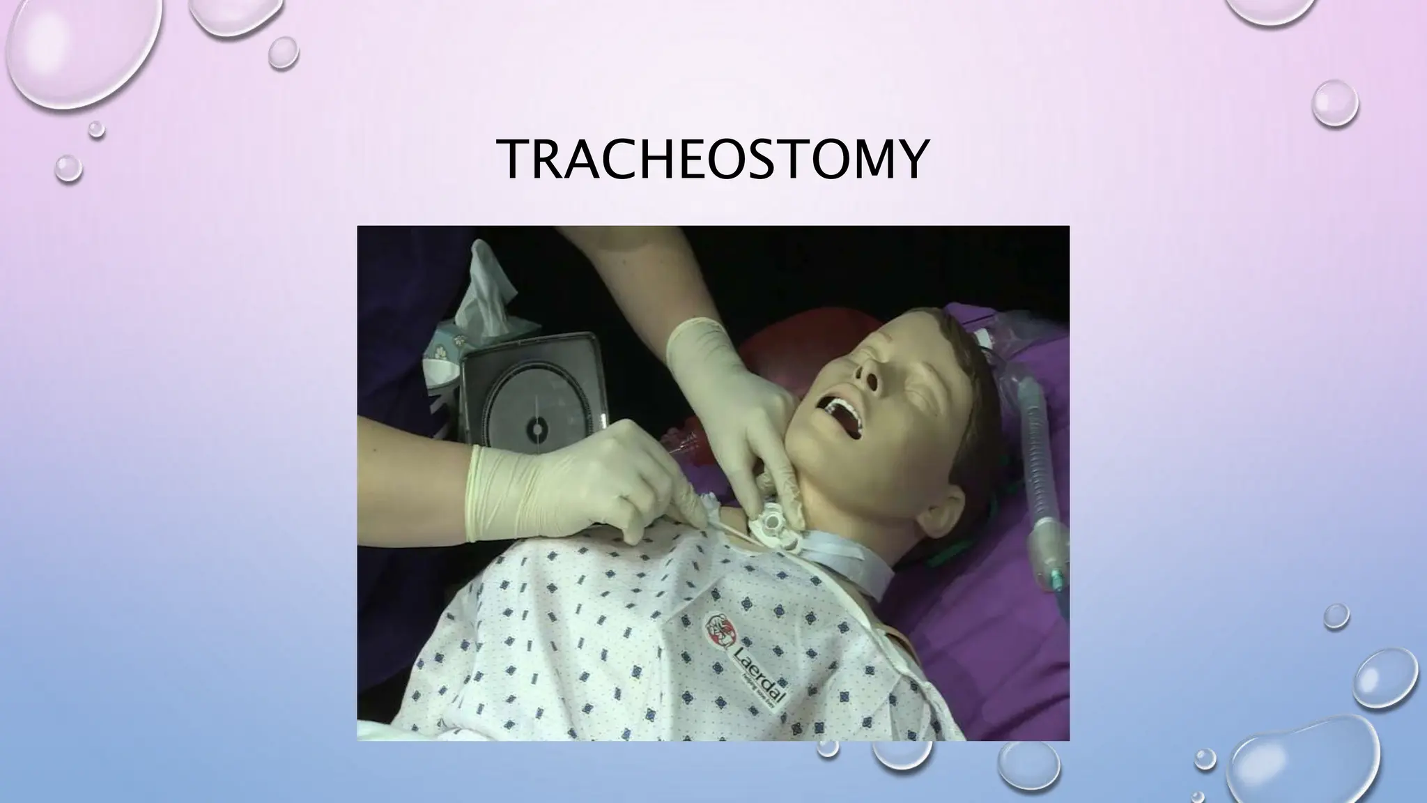 MIDLINE STRUCTURES OF NECK anatomy PowerPoint | PPTX