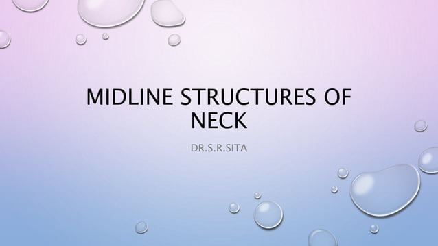 MIDLINE STRUCTURES OF NECK anatomy PowerPoint | PPTX | Thyroid ...