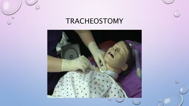 MIDLINE STRUCTURES OF NECK anatomy PowerPoint | PPTX | Thyroid ...