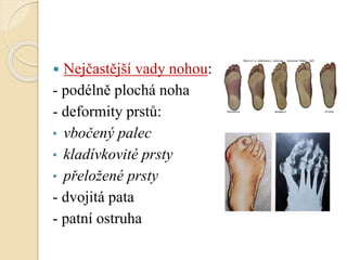 Měřidlo chodidel prezentace | PPTX