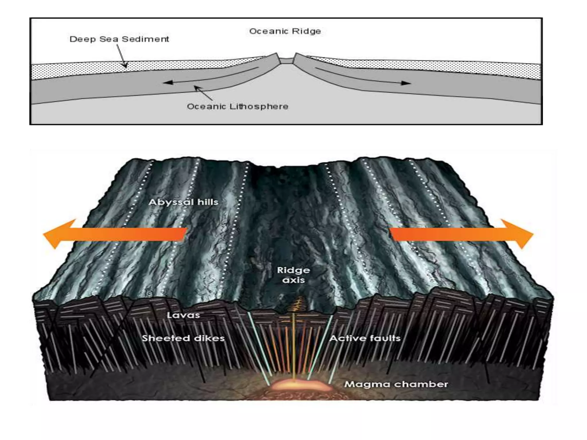 Midoceanic ridges | PPTX