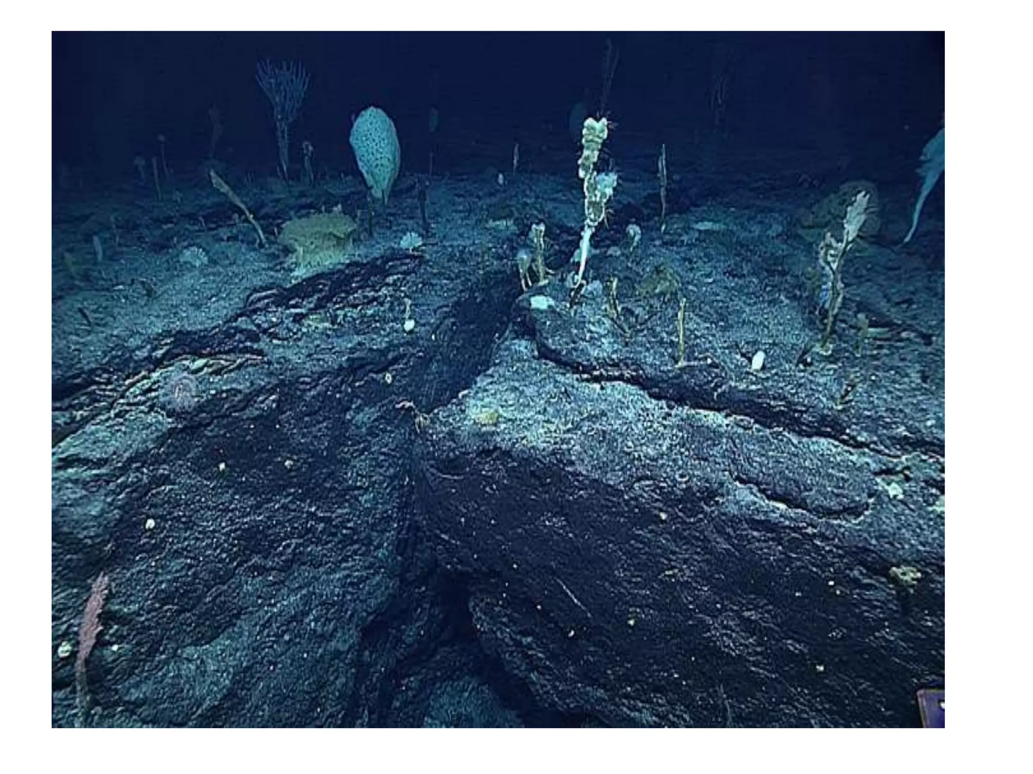 Midoceanic ridges | PPTX