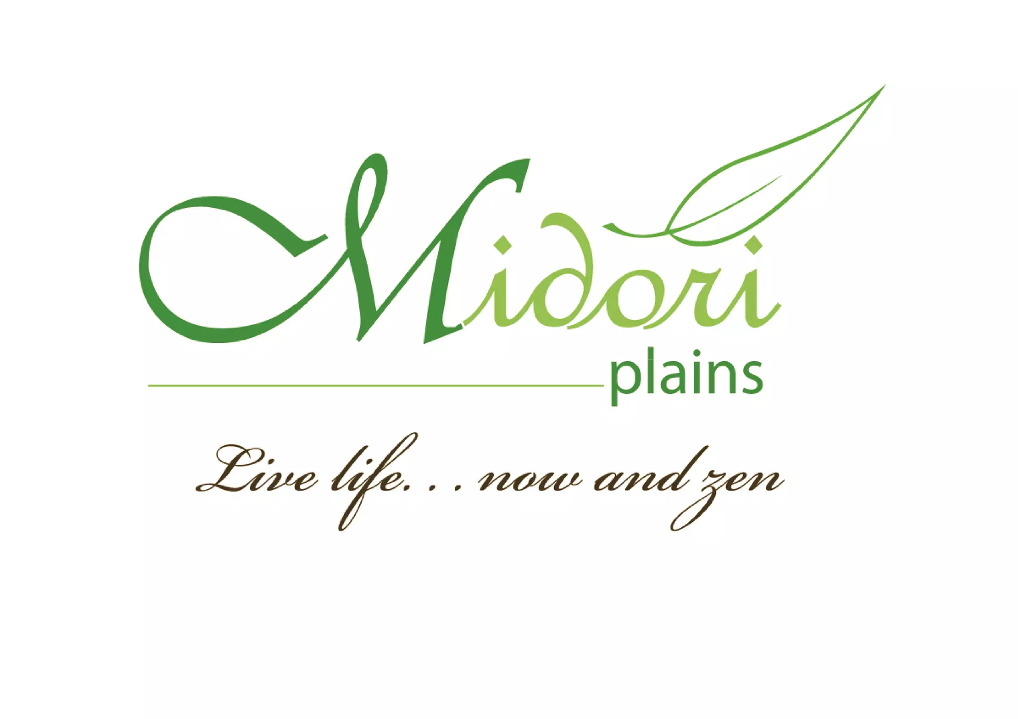 Midori Plains Minglanilla | PDF