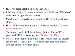 MID Respiratory Physiology.pdf
