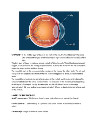 MIDTERM - OCULAR ANATOMY DOCUMENT REVIEWER | DOCX
