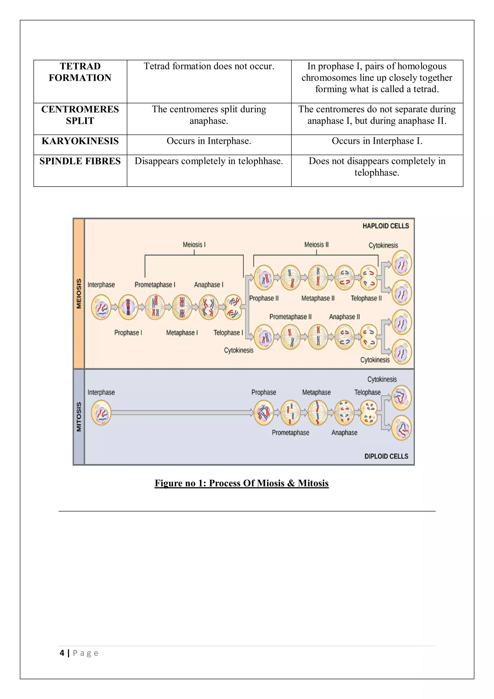 Mid Term Assignment.pdf