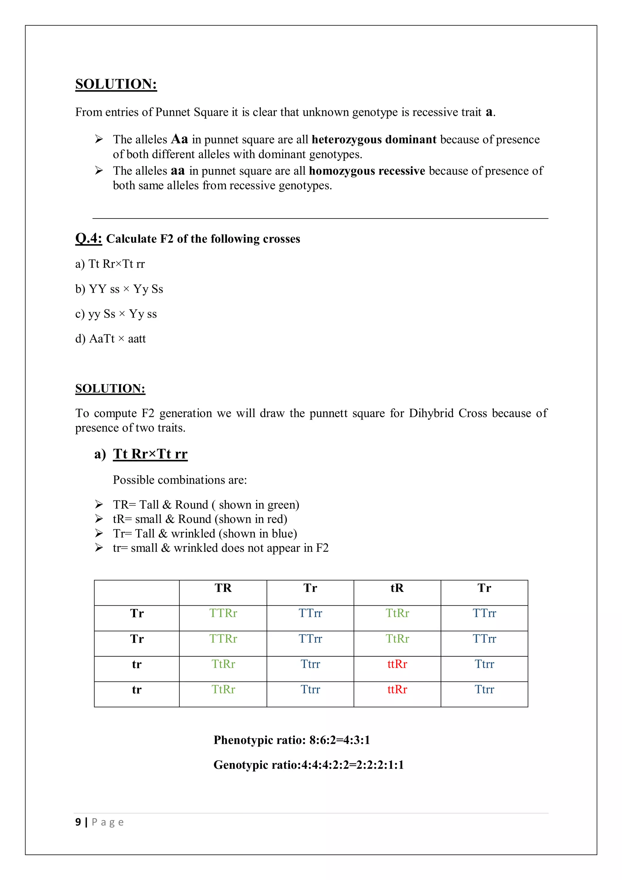 Mid Term Assignment.pdf