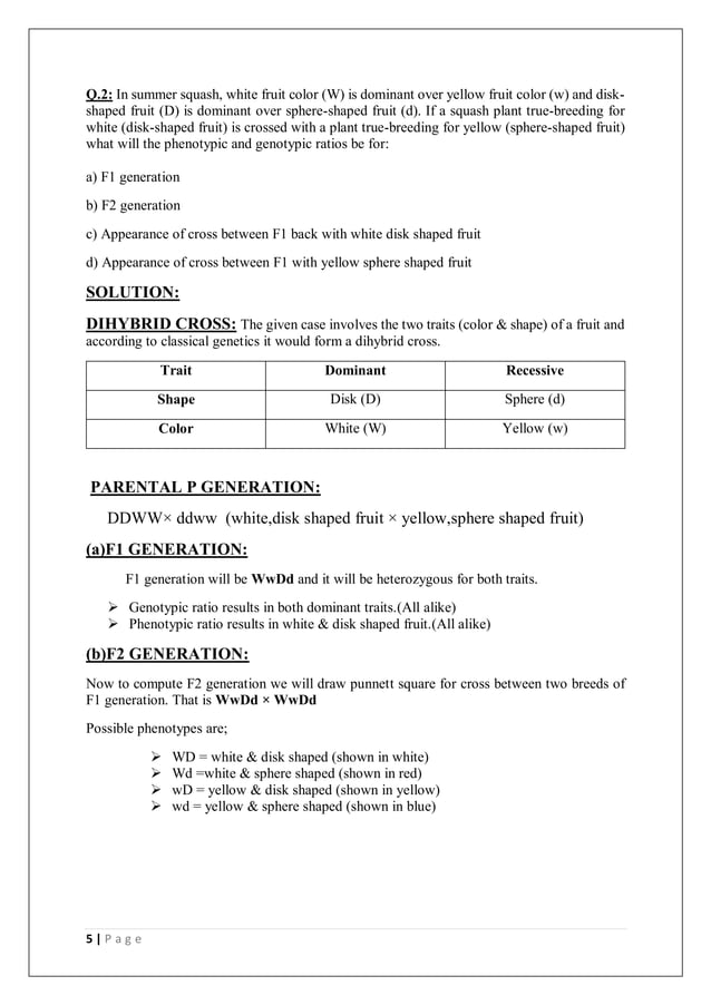 Mid Term Assignment.pdf