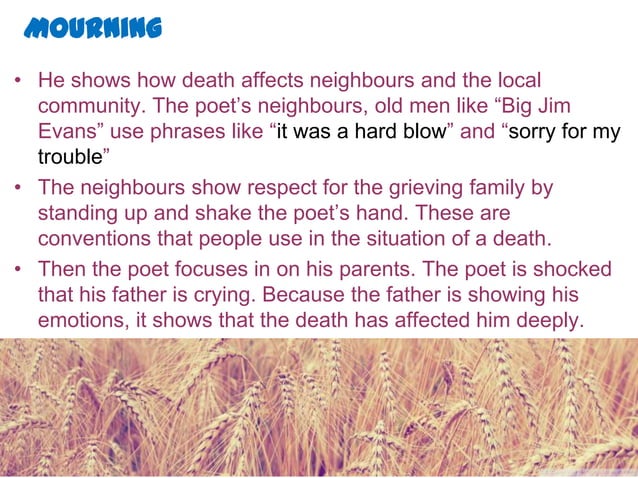 Mid term break by Seamus Heany | PPTX | Bereavement | Family and ...