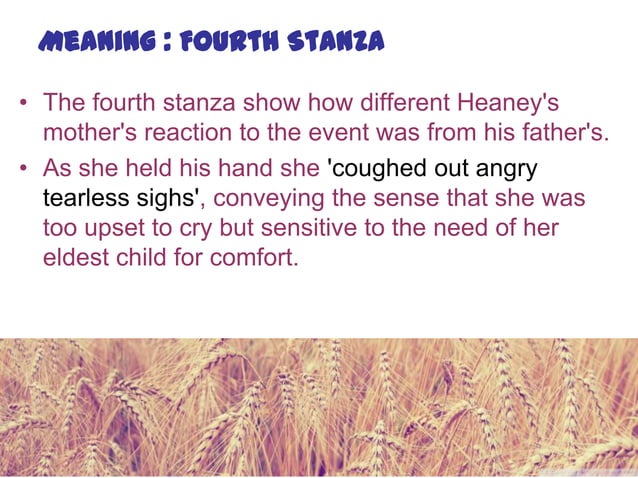 Mid term break by Seamus Heany | PPTX | Bereavement | Family and ...