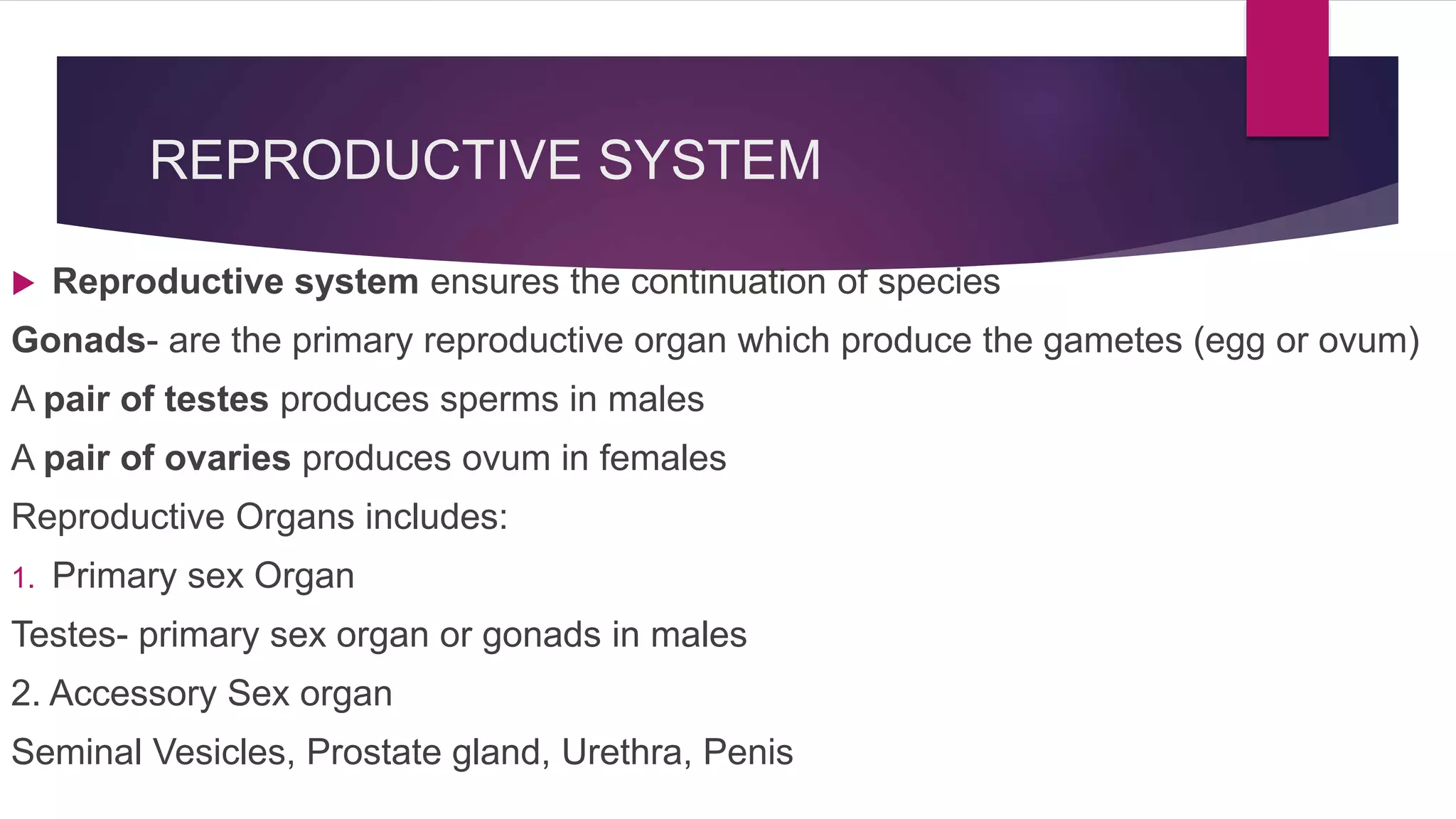 Midterm_Module-2-Reproductive-system.pptx