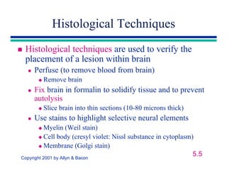 Midterm NOTES [CH5] - Methods and Strategies of Research.PDF