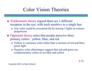 Midterm NOTES [CH6] - Vision.PDF