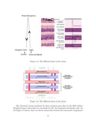 Toward a realistic retina simulator | PDF