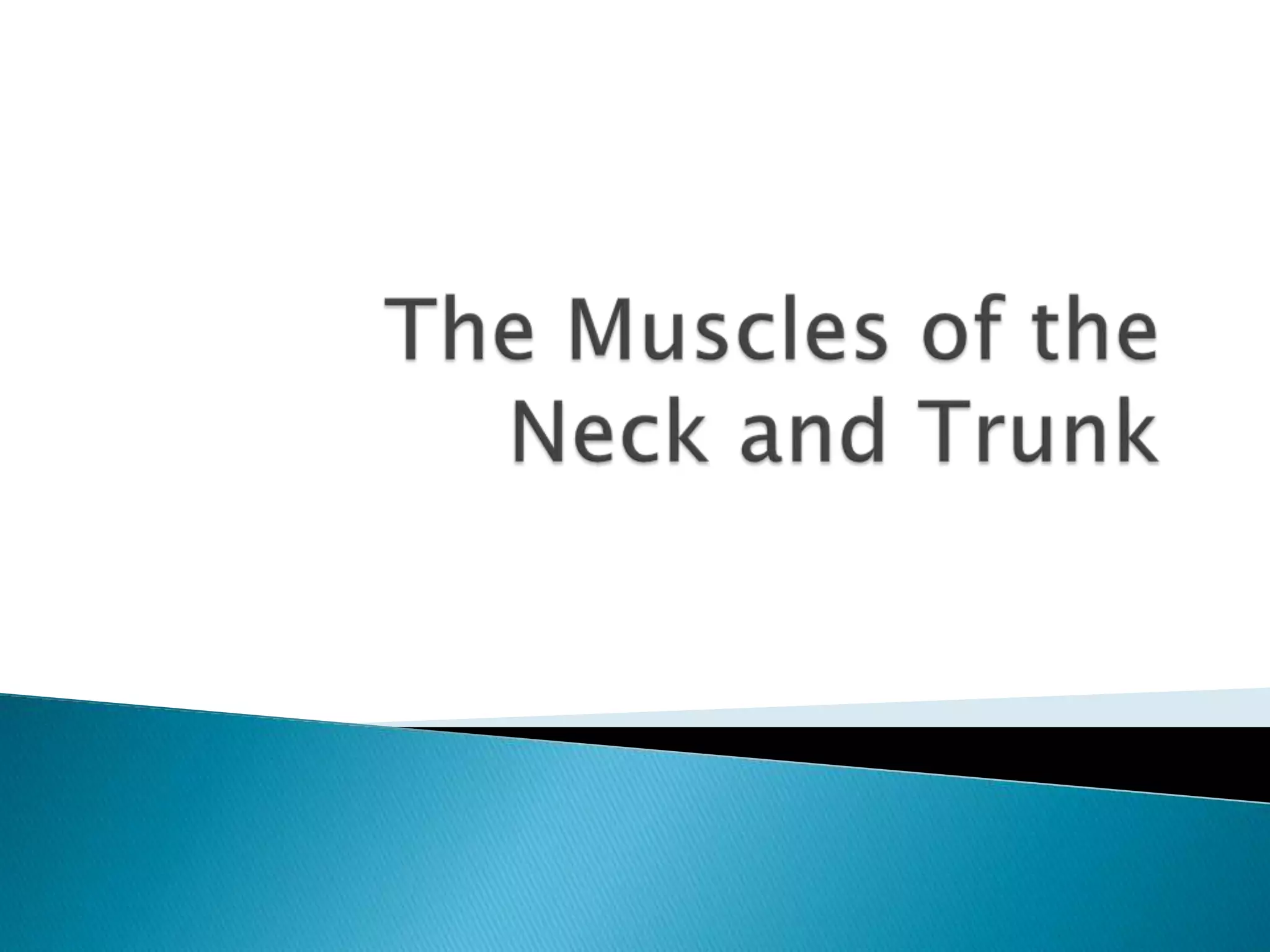 Midterms. Gen Ana. The Muscles of the Neck and Trunk | PPTX